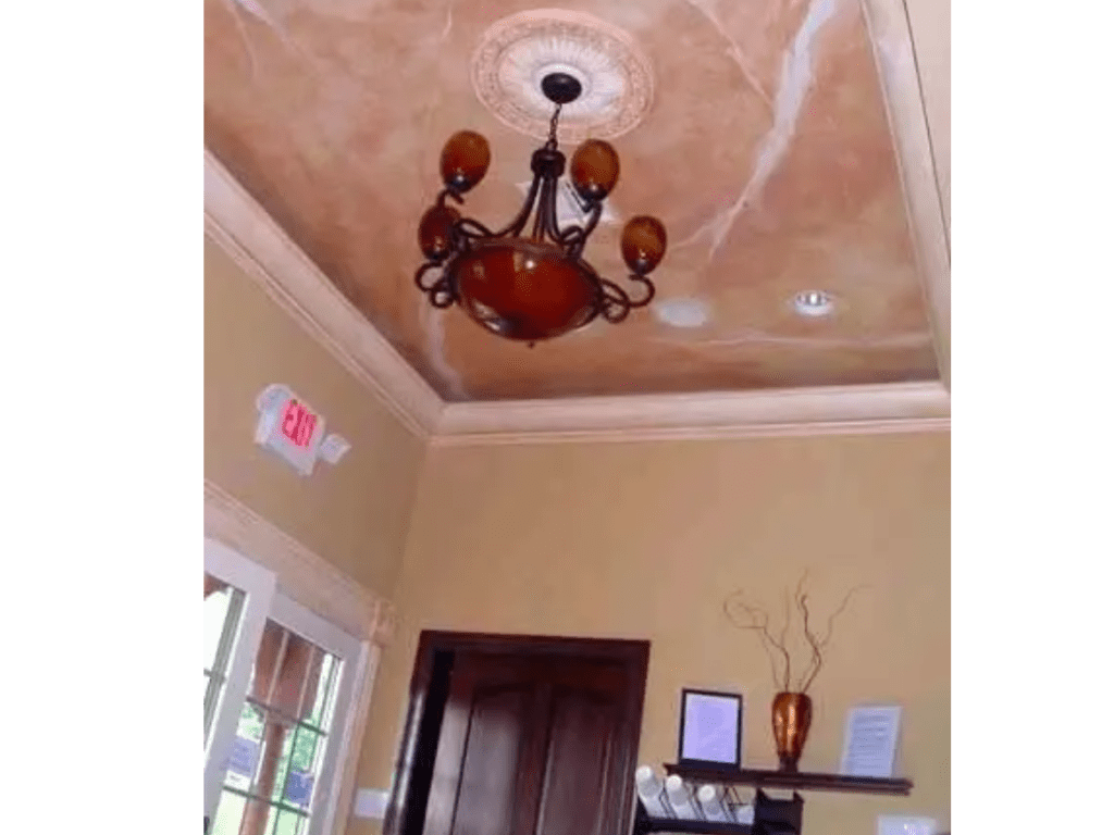 Designers Best Kept Secret - Terri O'Sullivan